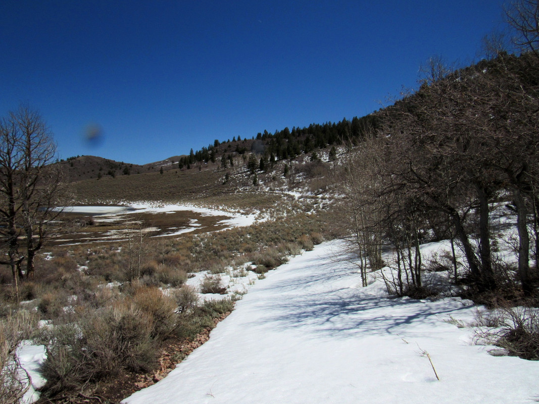 Img 8559 — Postimages