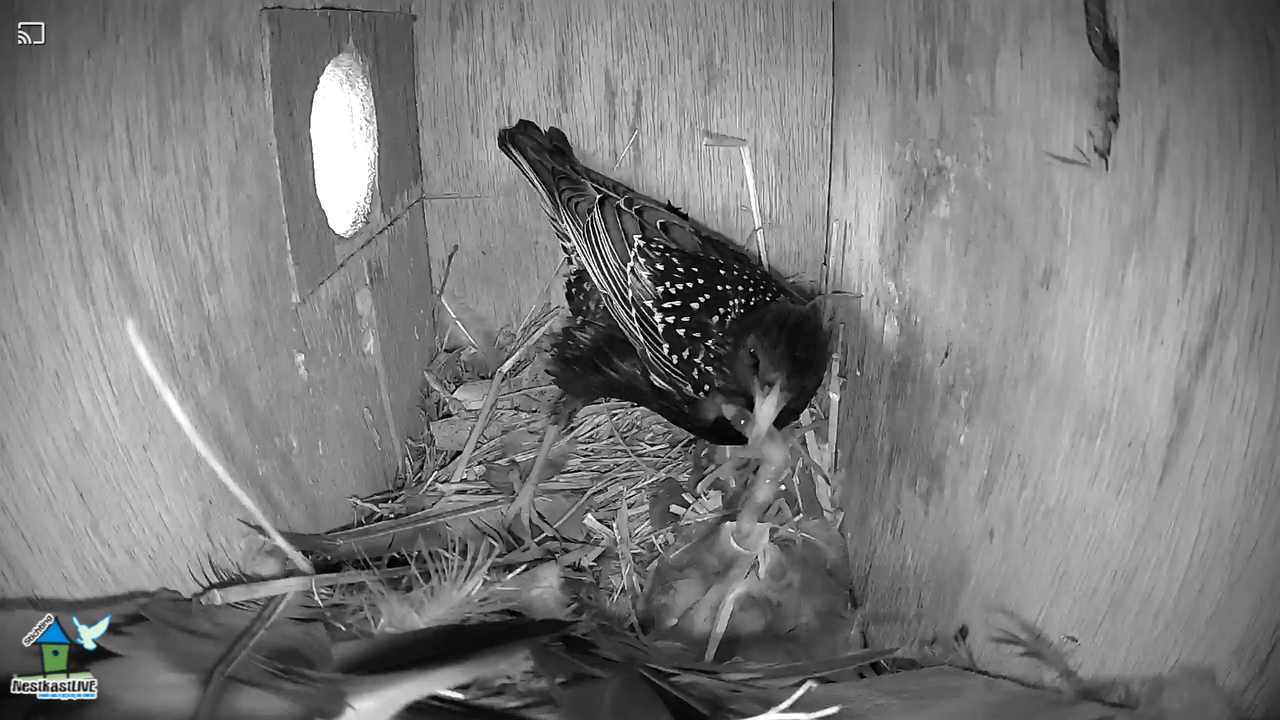 2023 04 29 10 — Postimages