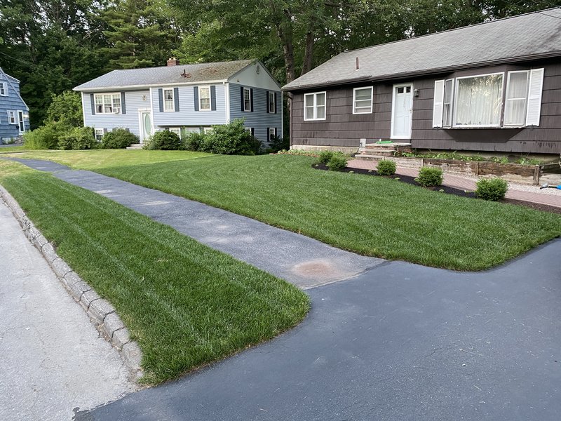 20220708 Front Lawn 01 — Postimages