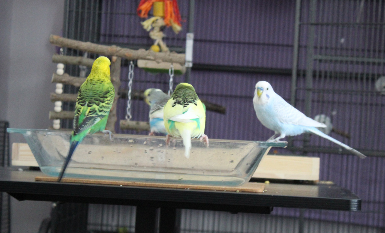 20230723090154 img 0539 — Postimages