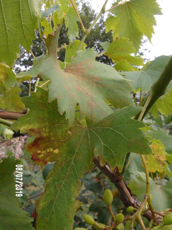 252 8632 — Postimages