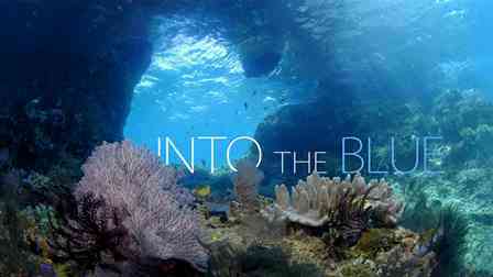 Приключения по суша и вода по Da Vinci през октомври - TVForum.bg