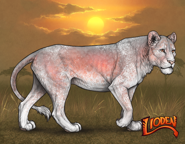 (CANCELED) :|: Lioden