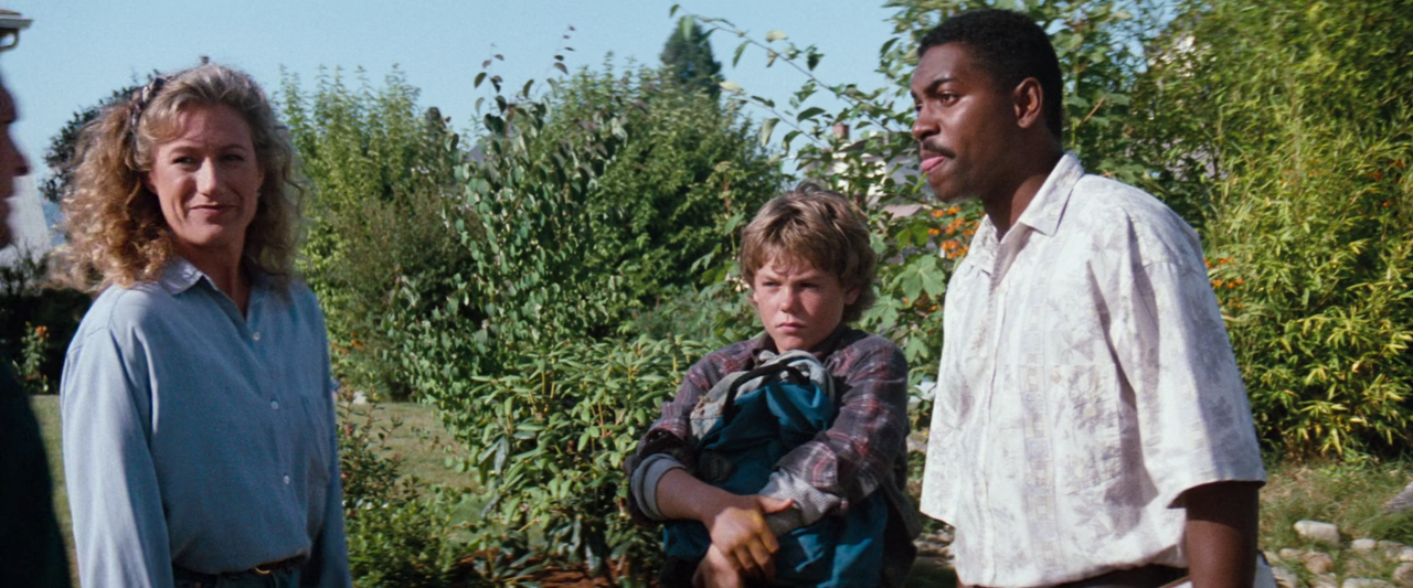 Free Willy 1993 1080p Blu ray Remux AVC DTS HD MA 5 1 KRa Li Ma RKo[ SS ...