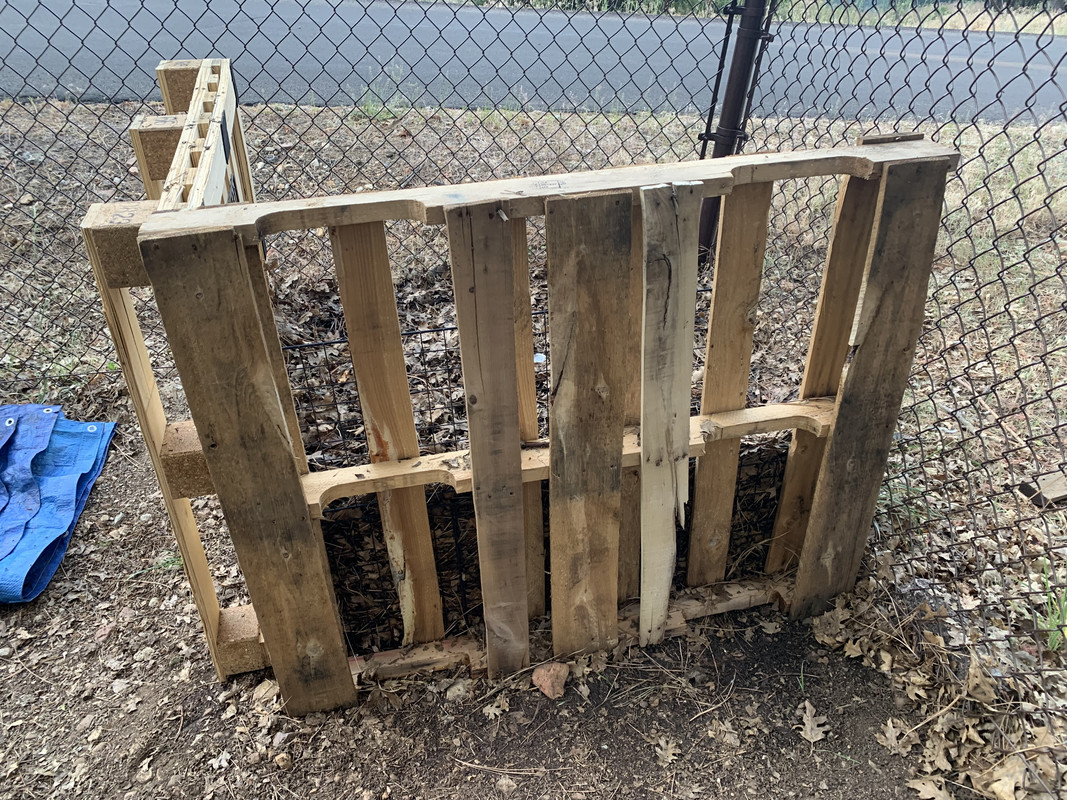 IMG 3291 — Postimages