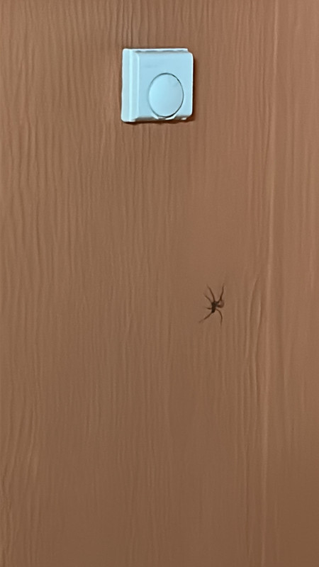 0 C911304 9991 4766 AE70 CCAE07 BCEA84 — Postimages