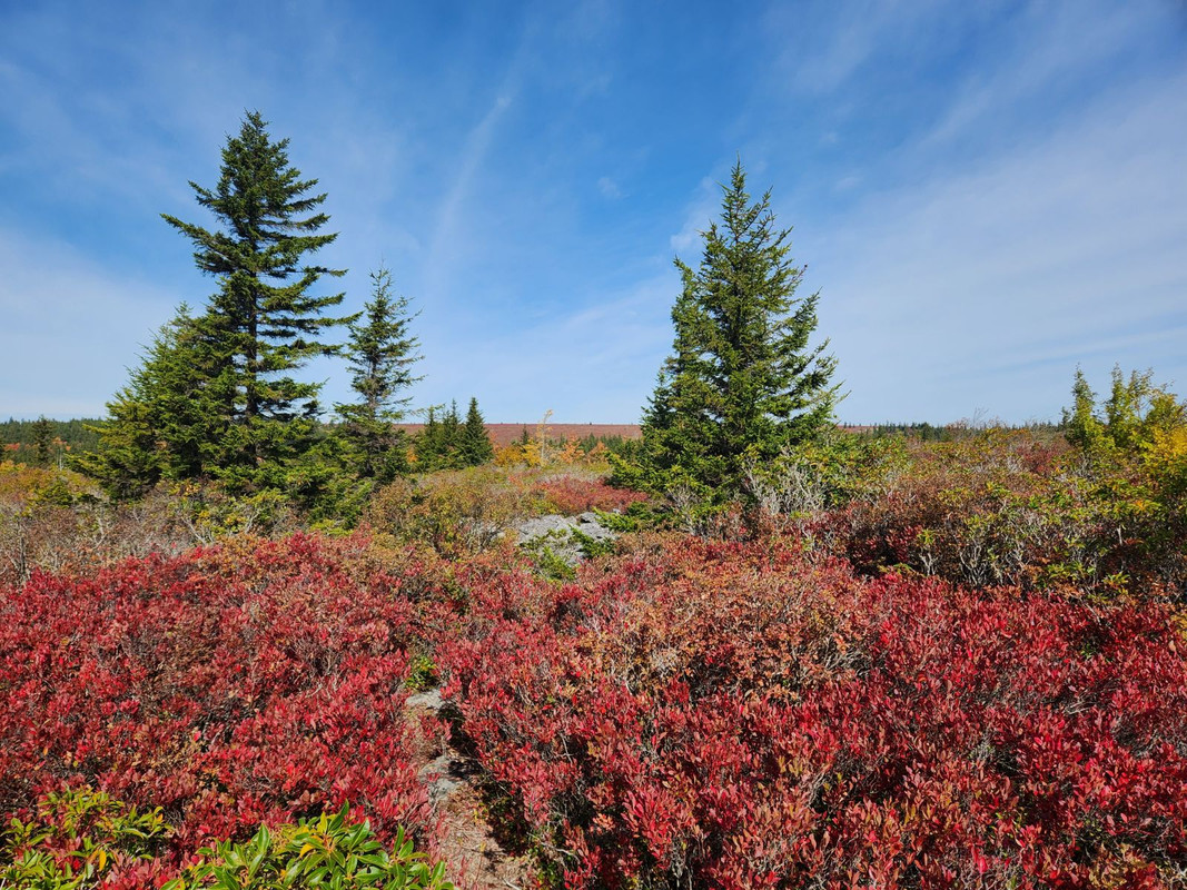 IMG 20240831 172815 — Postimages