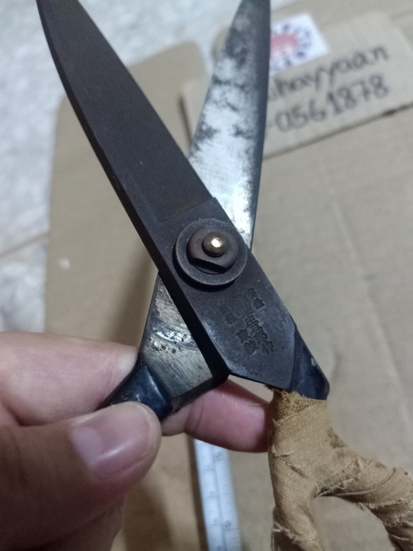 EA EI ๒๒๐๘๑๙ 262 — Postimages