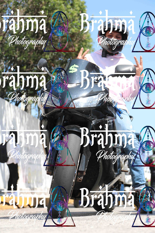 IMG 3605 — Postimages