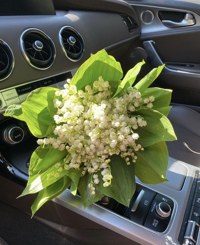 IMG 0490 — Postimages