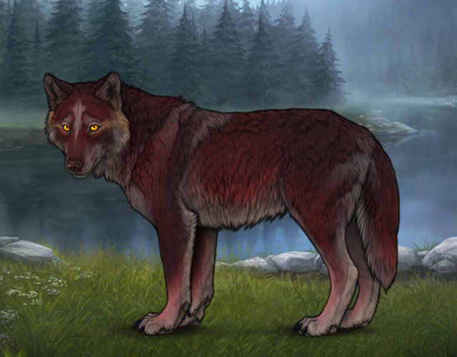 Chased Wolf Spotting - Revamped |:| Wolvden