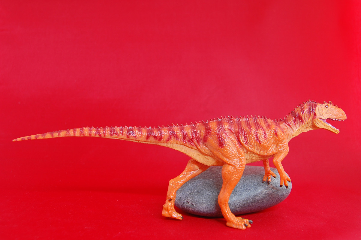 Favorite Dinosaur Soft Model Allosaurus 2012 — Postimages