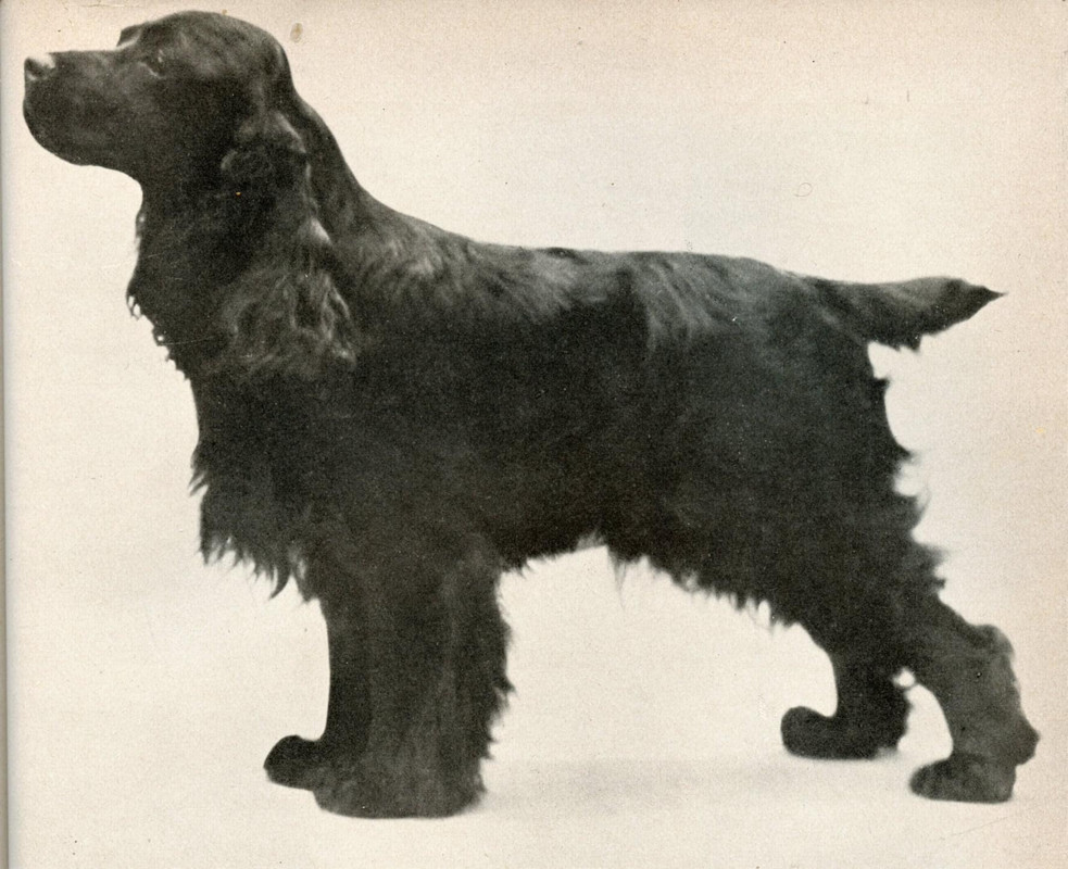 26799 FE0 D93 D 49 DD 92 F5 12 FE6 BEAB453 — Postimages