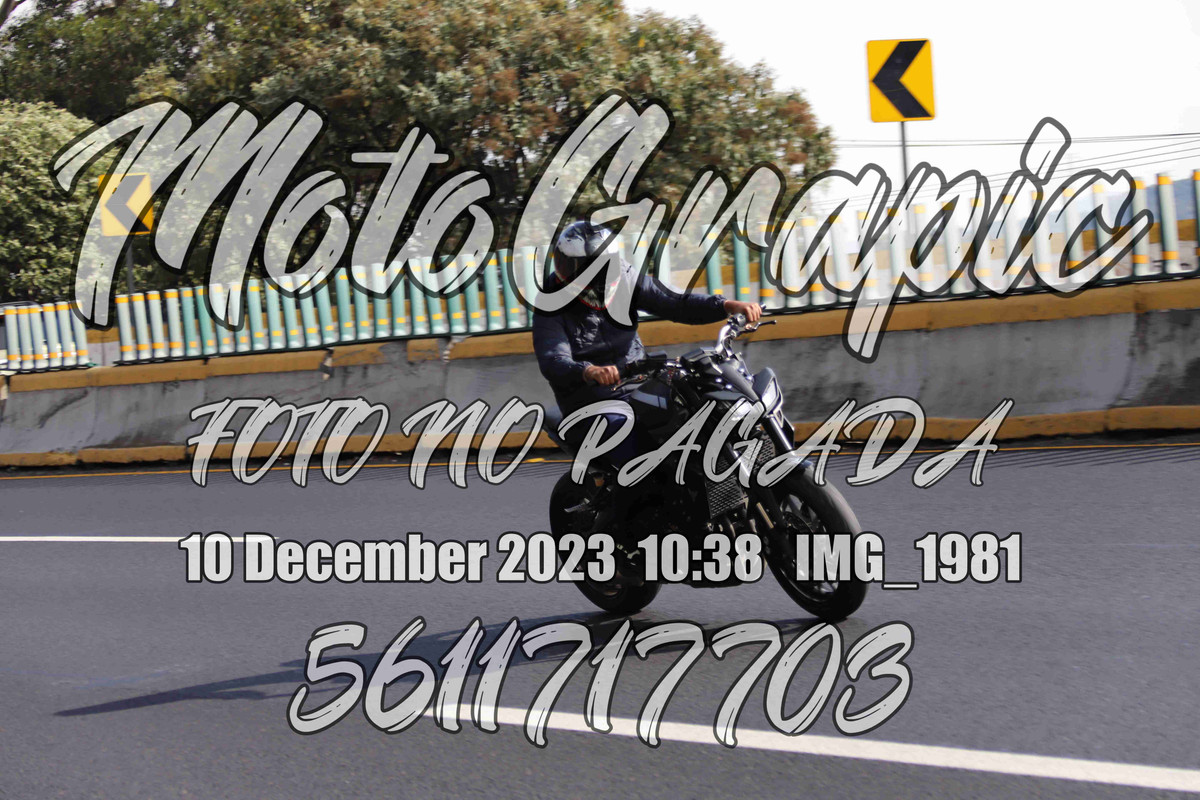 motgr IMG 1981 — Postimages