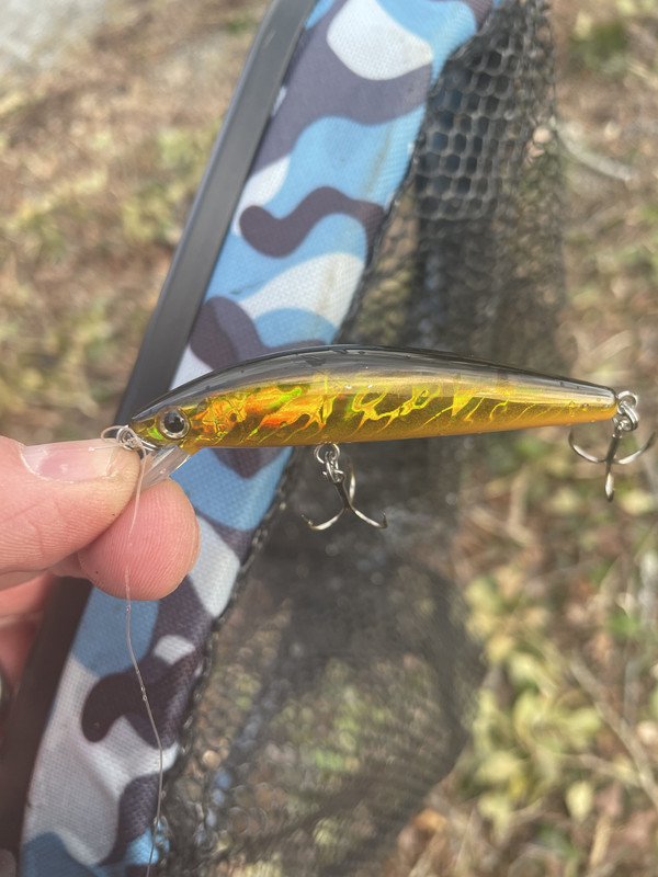 The Found Lures Thread - Page 28 - Fishing Tackle - Bass Fishing Forums