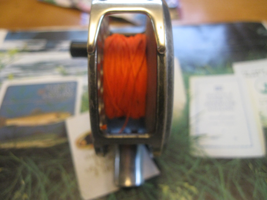 IMG 3728 — Postimages