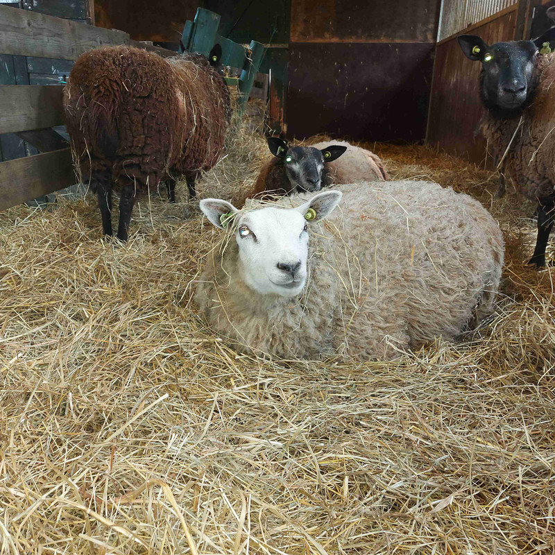 68d0b421 159f 4994 86a5 b7abdcfd8372 — Postimages