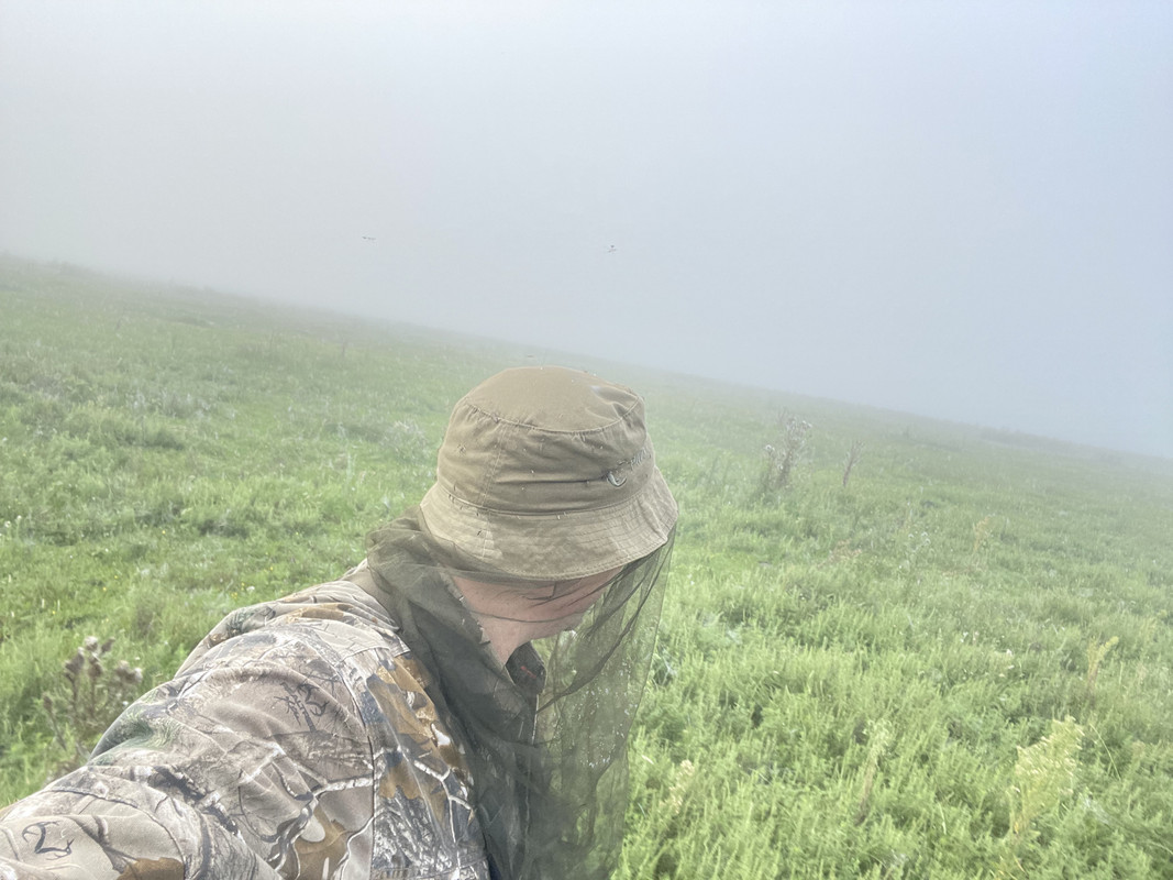 IMG 3152 — Postimages