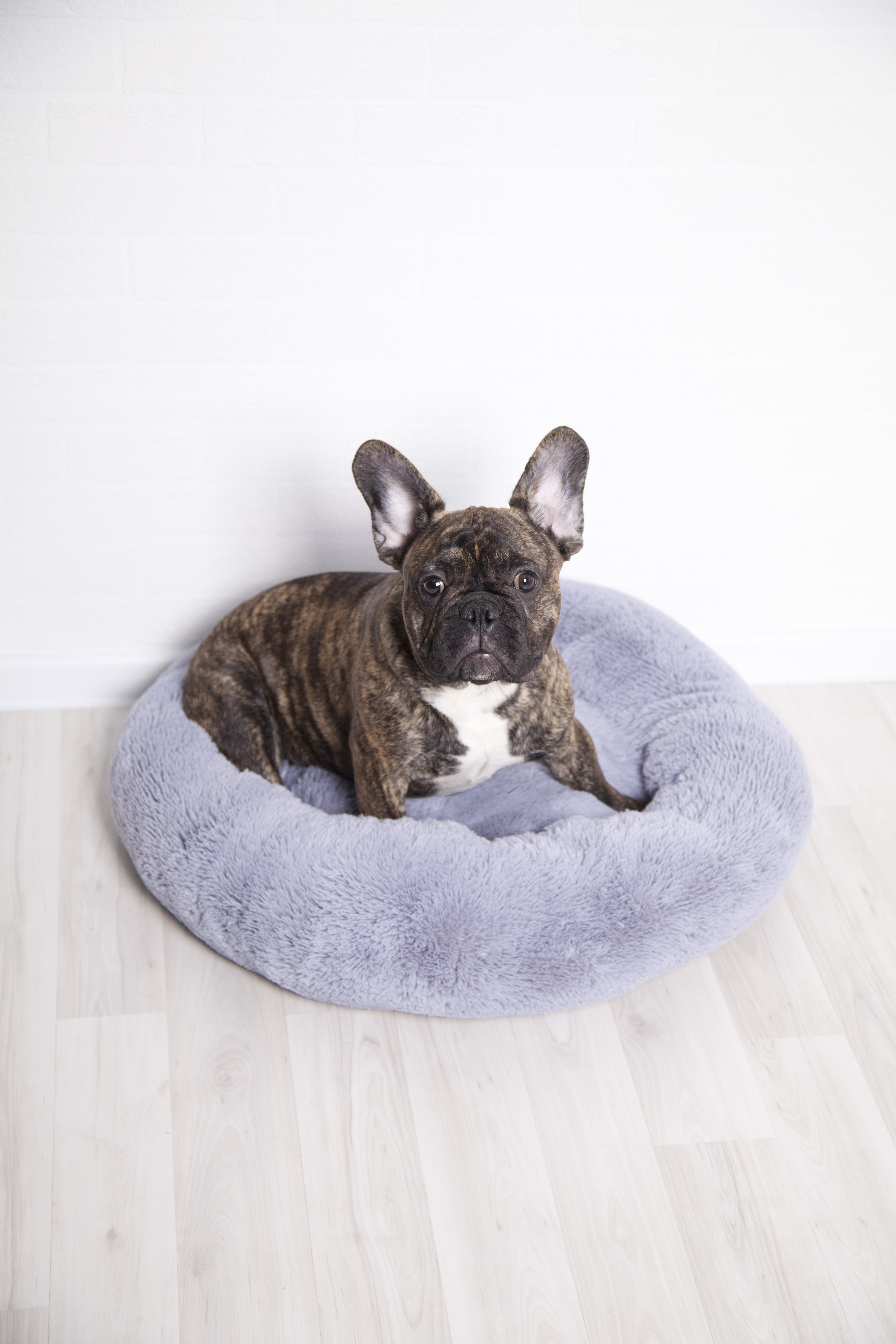 IMG 3427 — Postimages