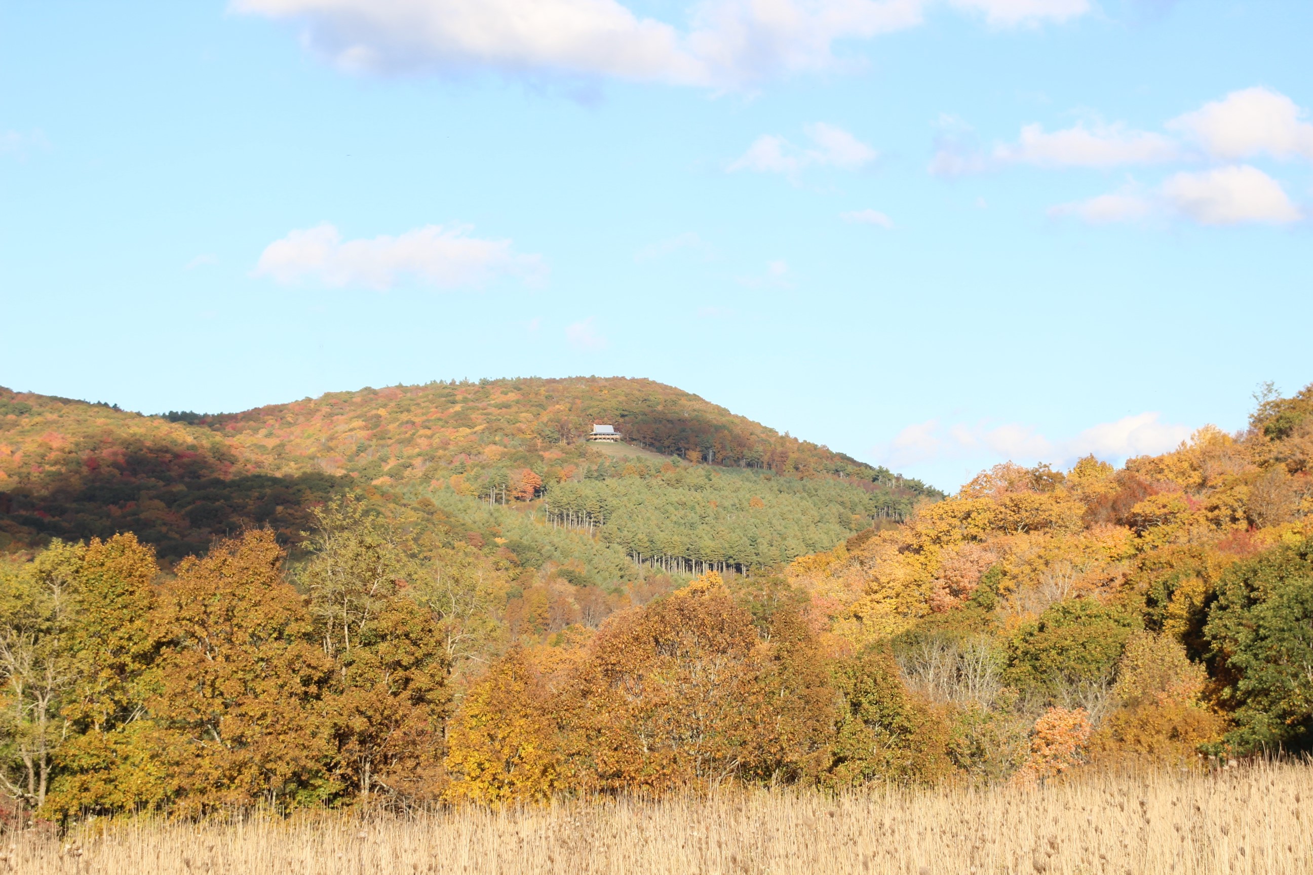 cabin fall — Postimages