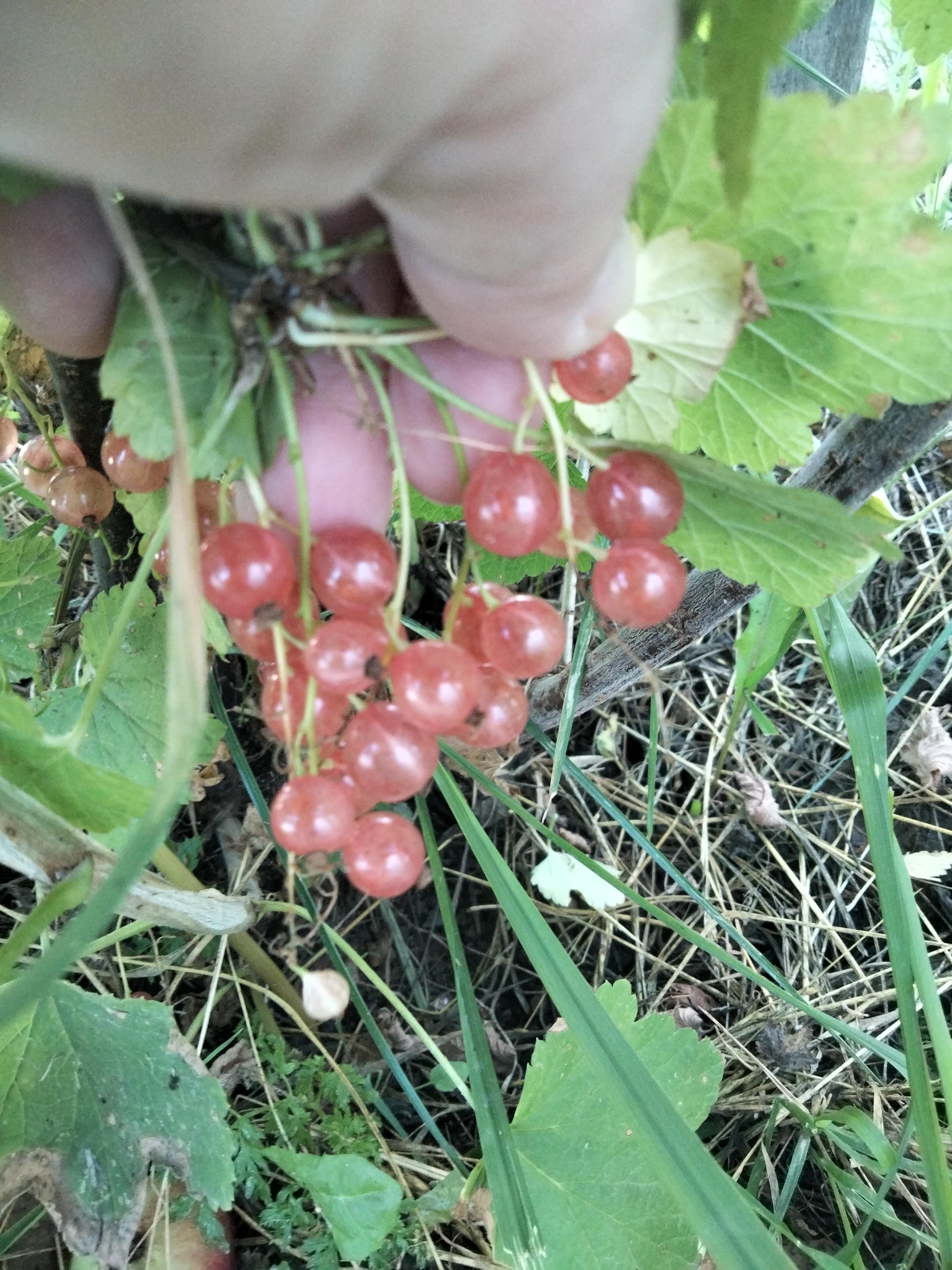 IMG20220729175319 BURST000 COVER — Postimages