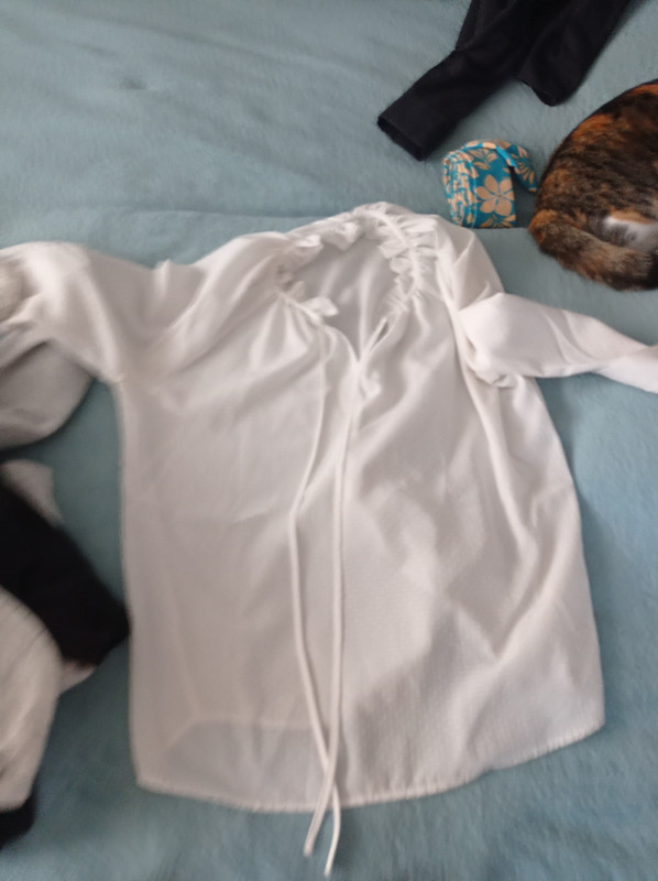 IMG 20221030 115839 — Postimages