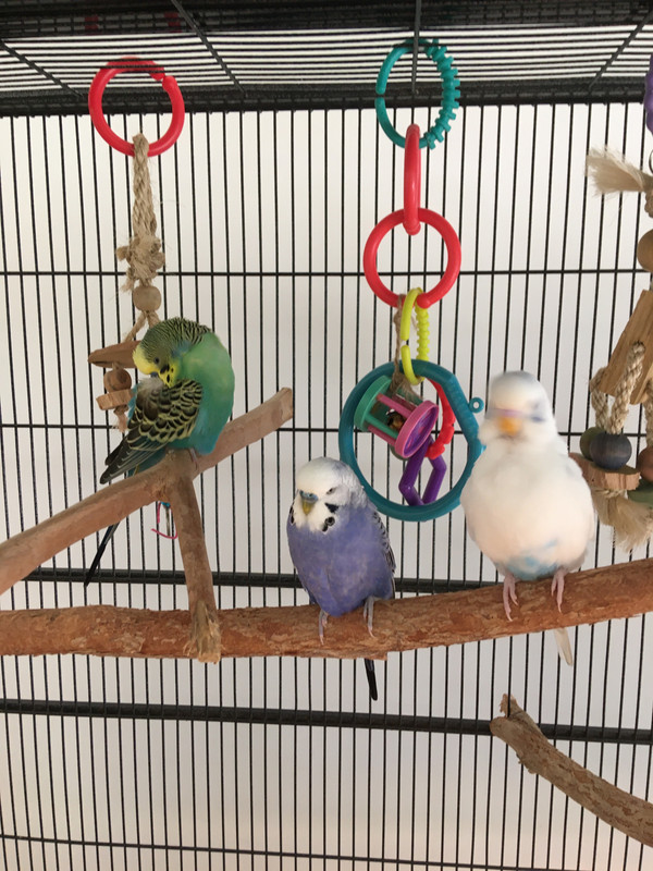 IMG 1171 — Postimages