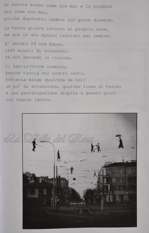 DSC 0396 — Postimages