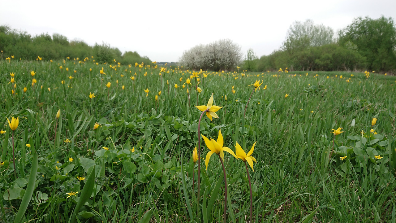 DSC 0535 — Postimages