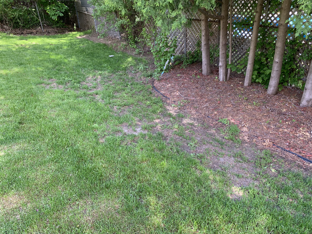 Acidic areas | Lawn Care Forum