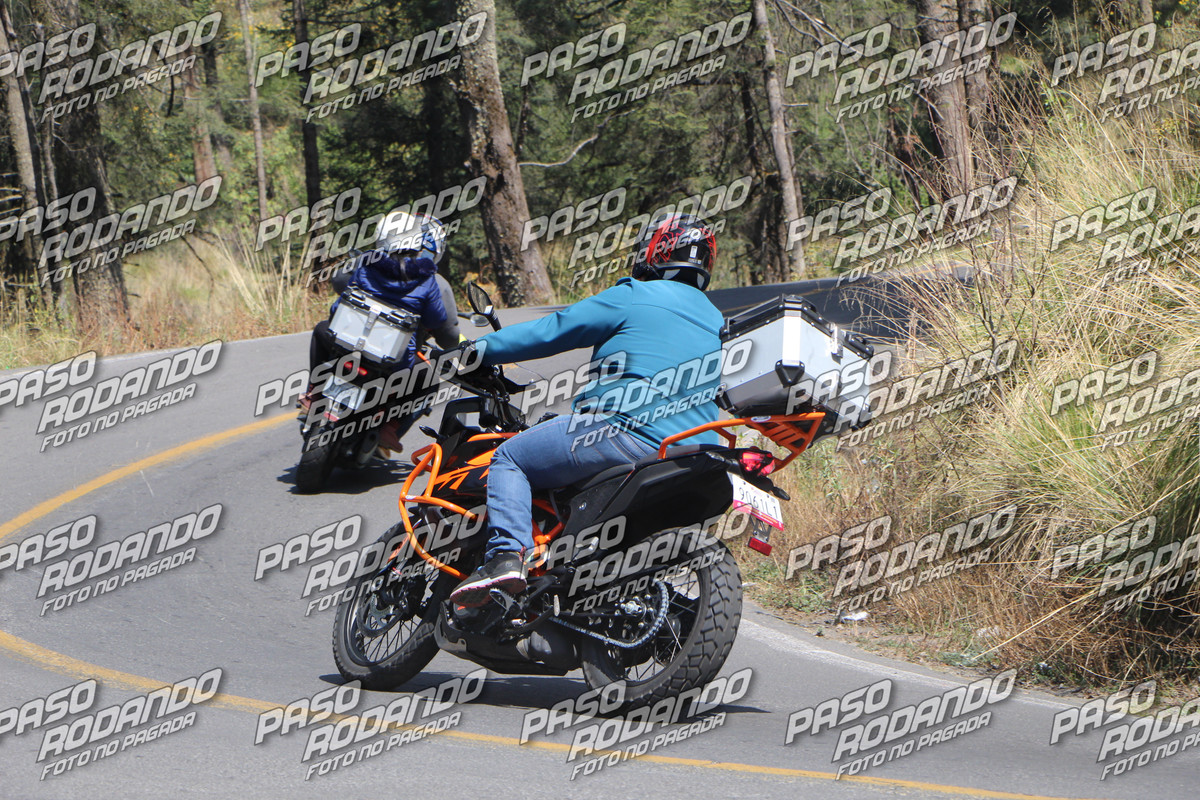 IMG 3891 — Postimages