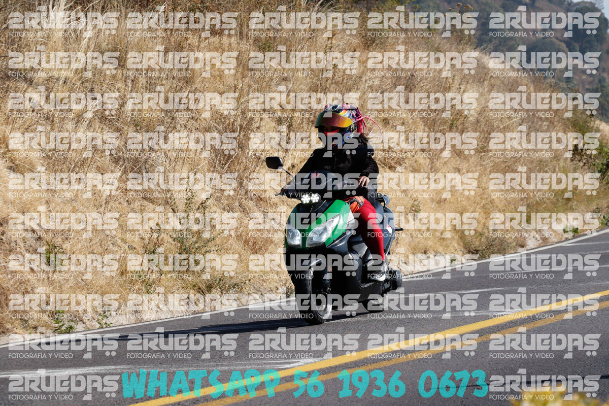 MG 0091 — Postimages