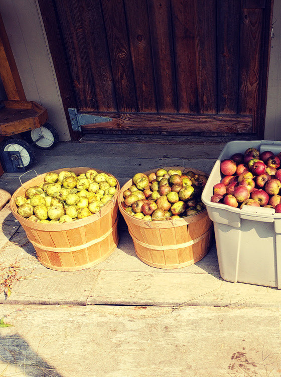 signal 2022 09 24 17 37 08 181 resized — Postimages