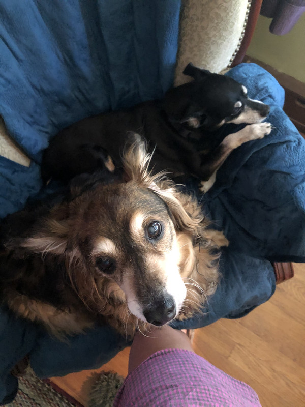 254727 DB 7630 49 C0 88 F7 8104 F3 B39970 — Postimages