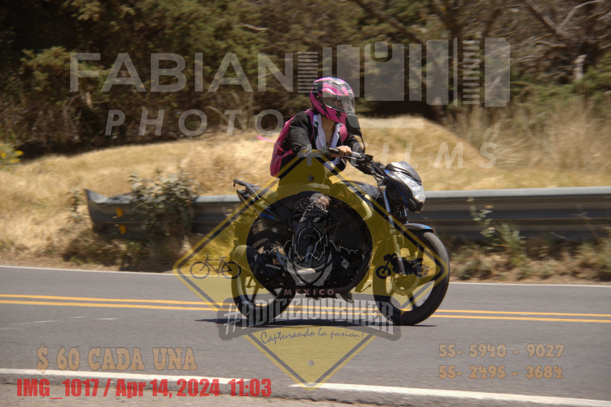 IMG 1017 — Postimages