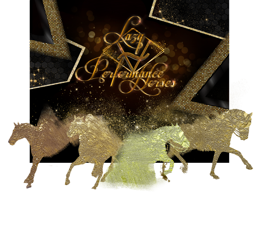 LAPH2 Final — Postimages