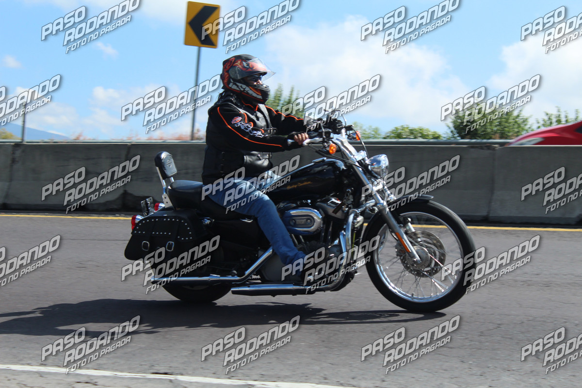 IMG 2728 wm 2015105 8 watermarked — Postimages