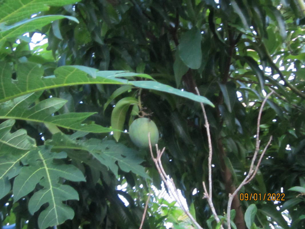 IMG 1610 — Postimages