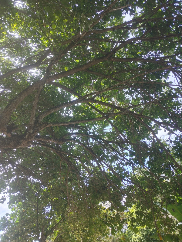 0827221025a HDR — Postimages