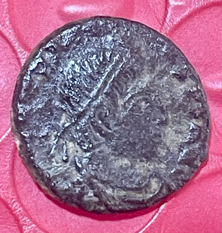 IMG 3301 — Postimages