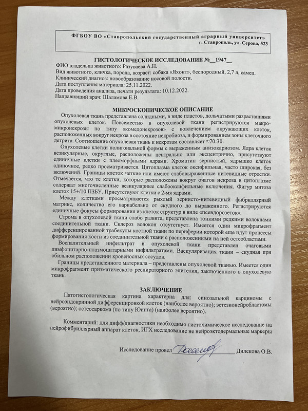 IMG 0131 — Postimages