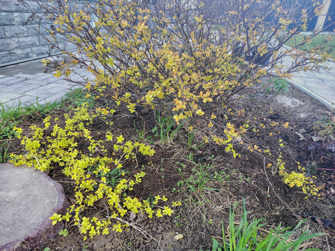 1713158710089 01 — Postimages