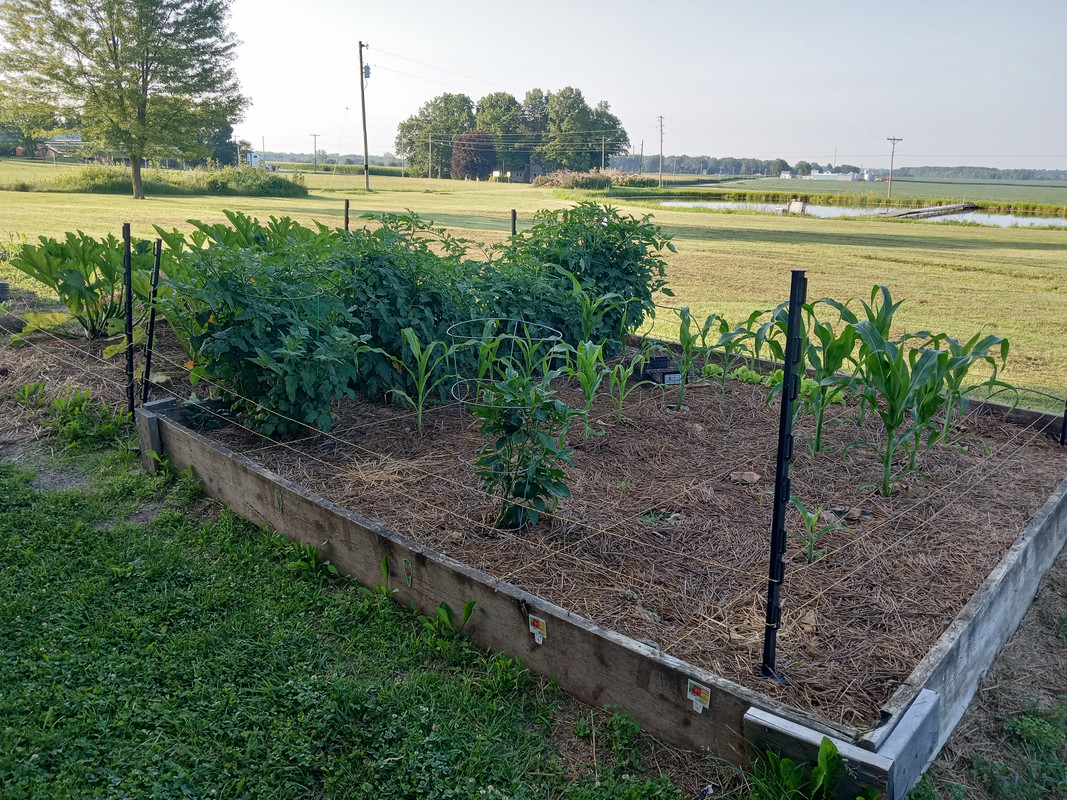 garden 7 19 23 — Postimages