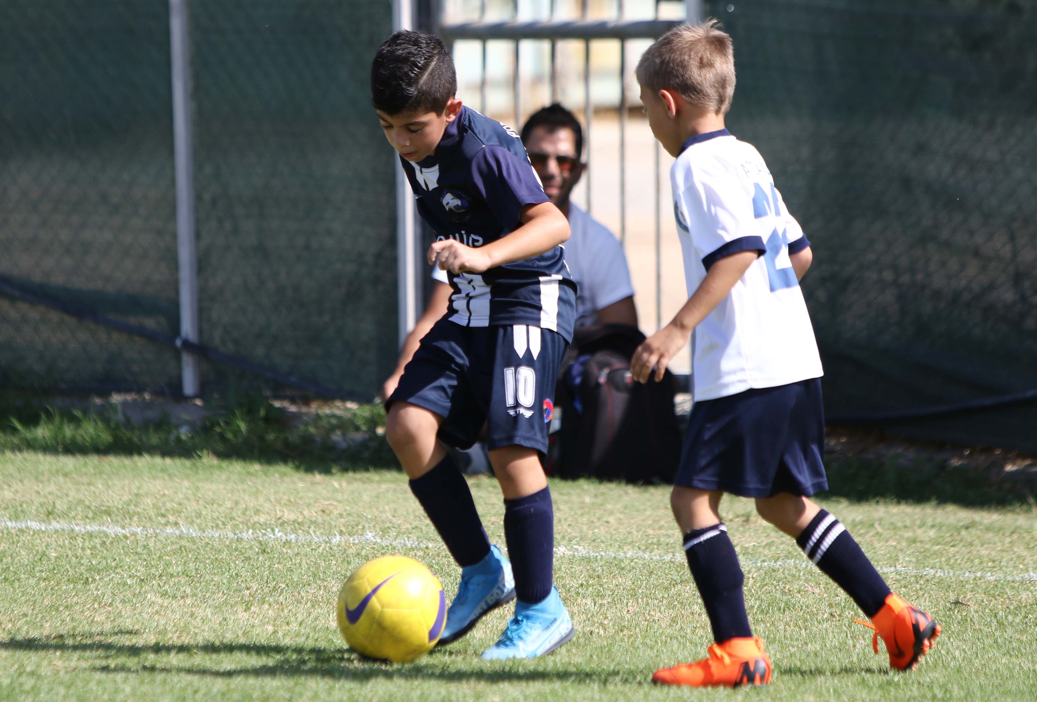 VIK 8259 — Postimages