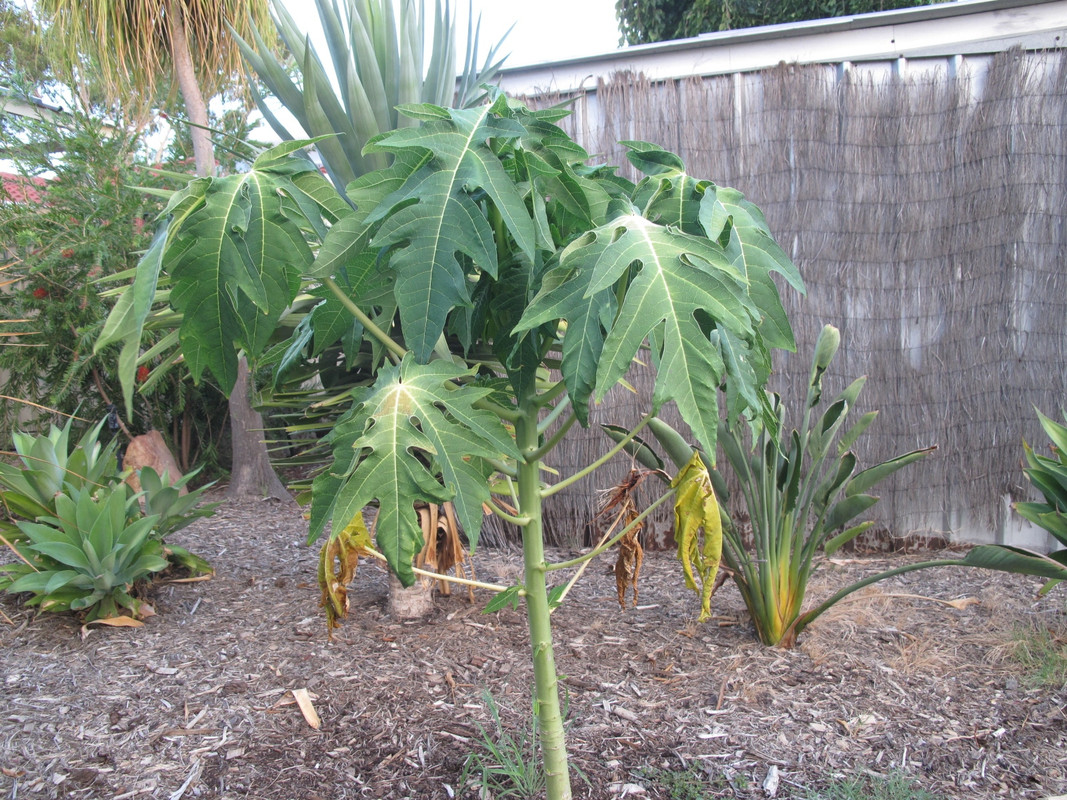 IMG 4633 — Postimages