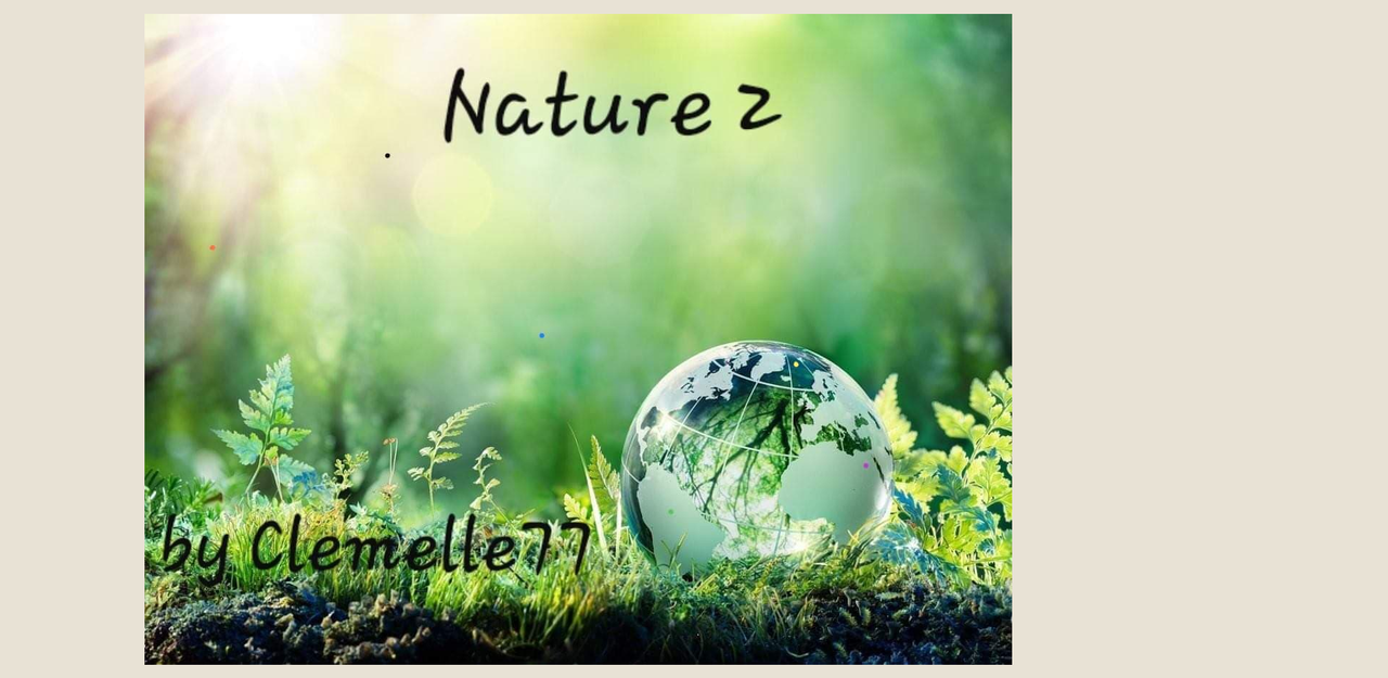 nature z — Postimages