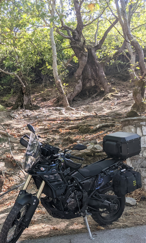 PXL 20240810 160928501 2 — Postimages