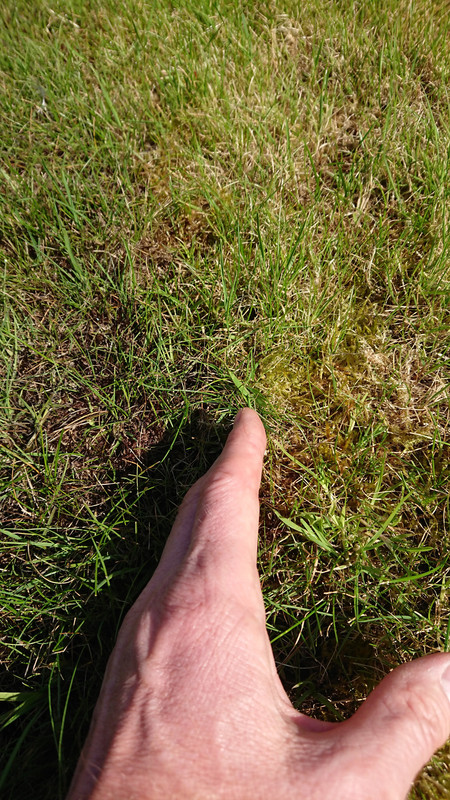 DSC 0647 — Postimages