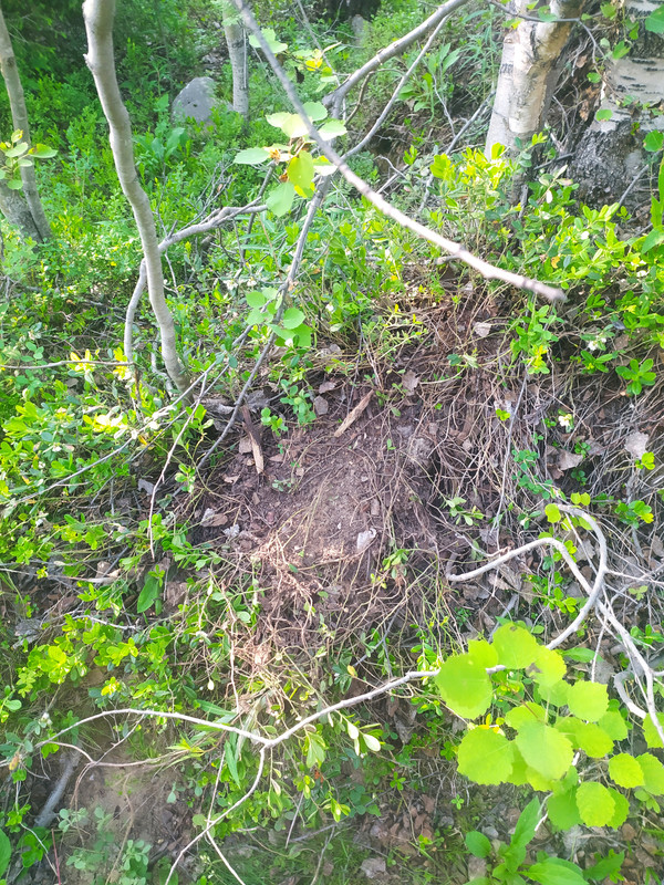 IMG 20230703 194451 — Postimages