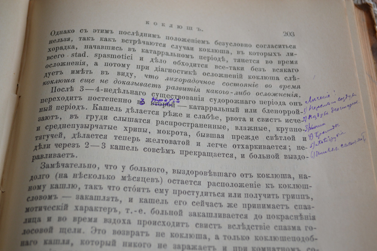 DSC 0297 — Postimages